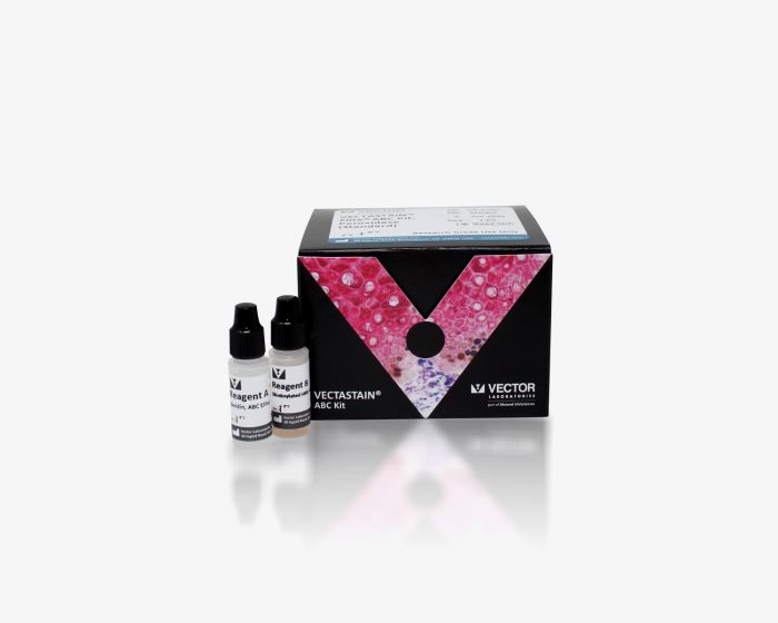 Vectastain Elite Abc Kit (Standard) | BIOZOL