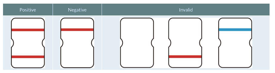 Product List | BIOZOL